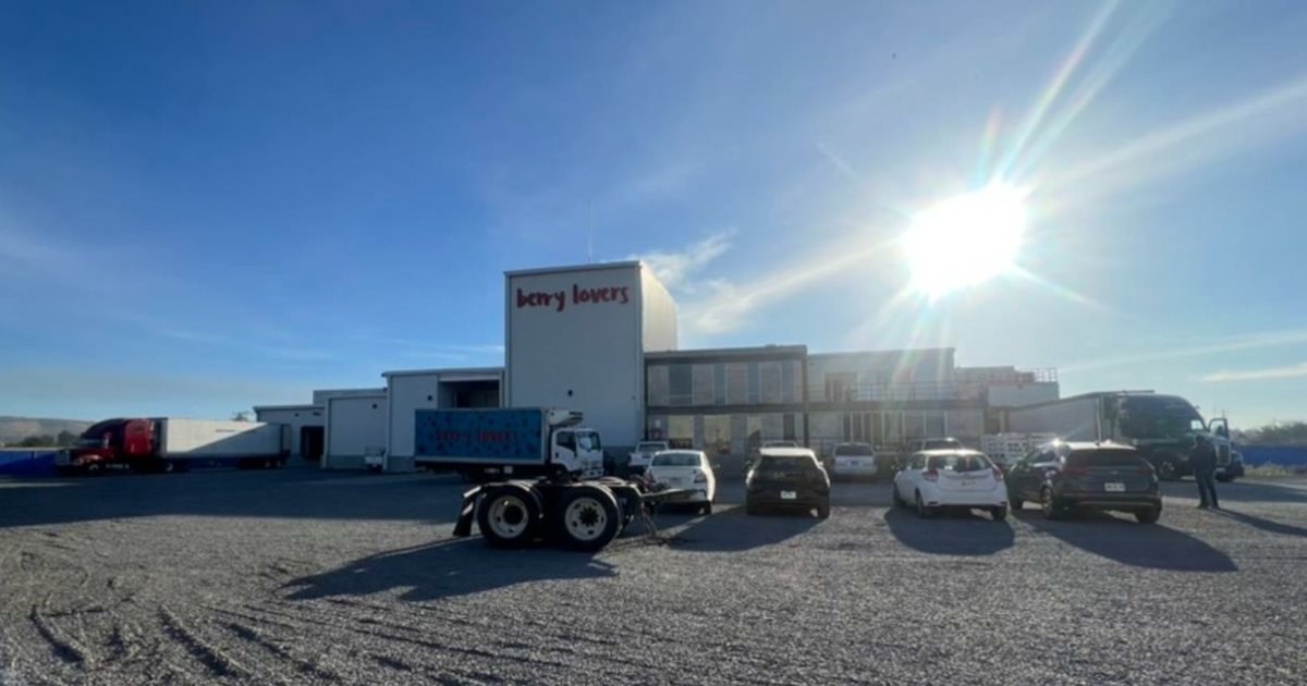 Bodega BerryLovers - Bodegas en Venta .mx